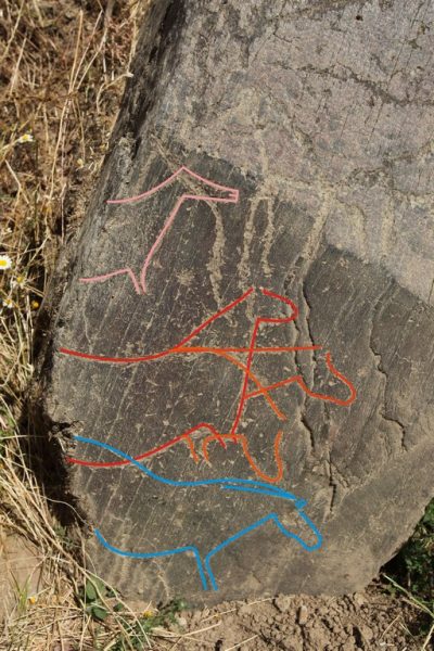 Portugal : L’art rupestre de la Vallée du Côa - Univers Voyage