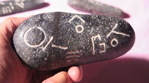 The non-human mummies of Nazca: The discovery of two new species ...